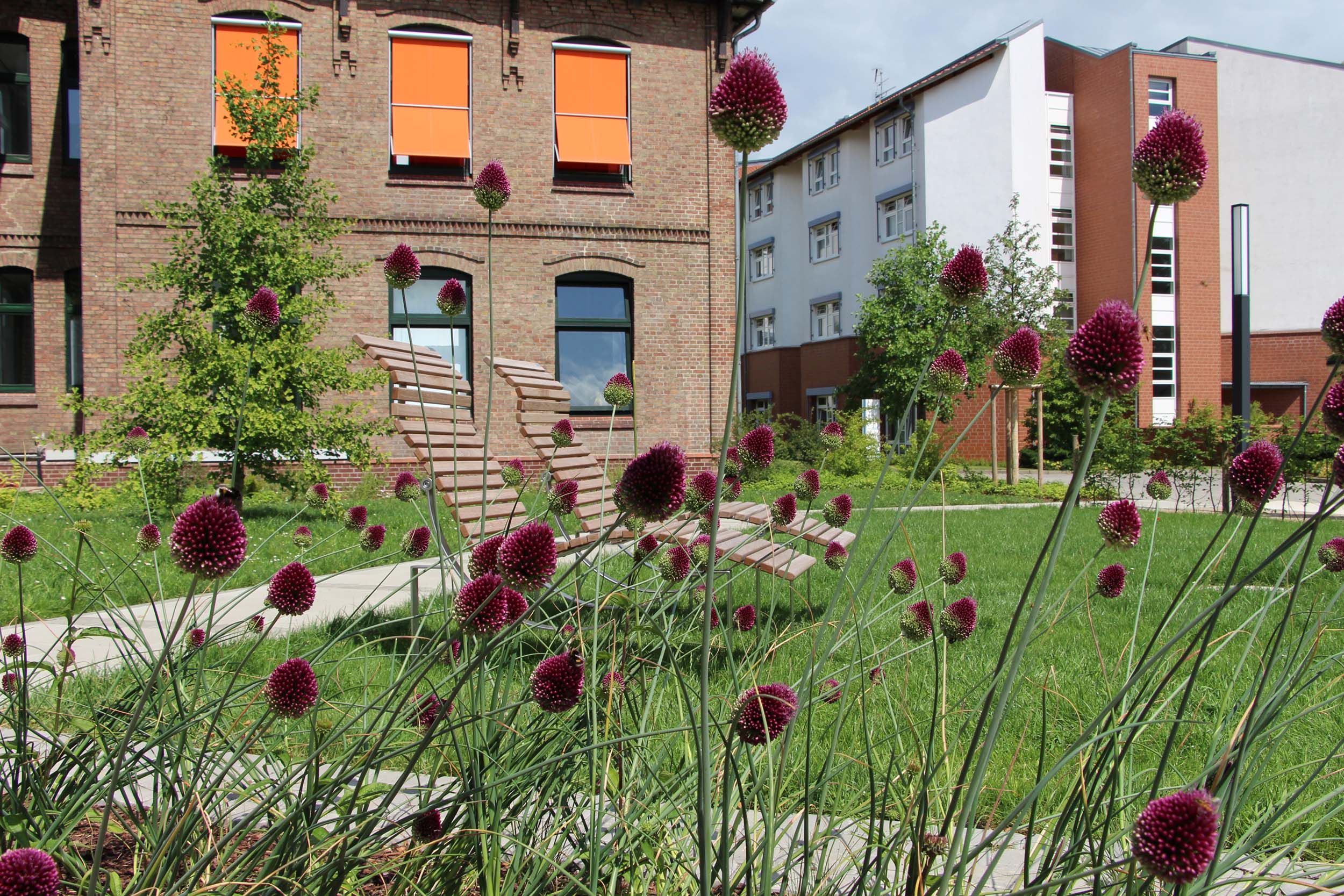 Startseite - DR. FONTHEIM Mentale Gesundheit